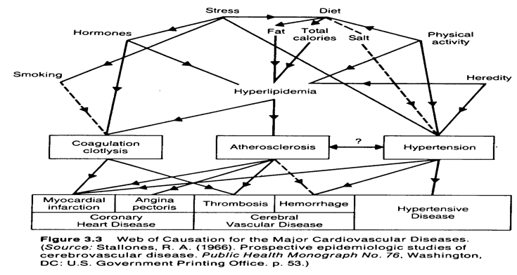 Concepts Of Causation Immersion Concepts